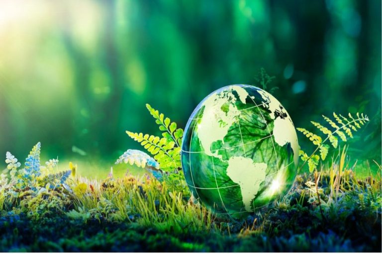 Sustainable Living: Simple Steps for an Eco-Friendly Lifestyle